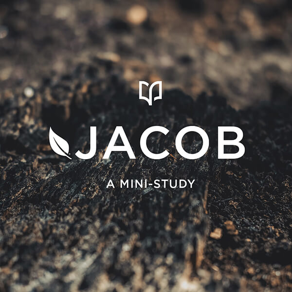 Bible Study Fellowship